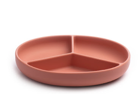 NEW SUCTION PLATE – Bowden Stores